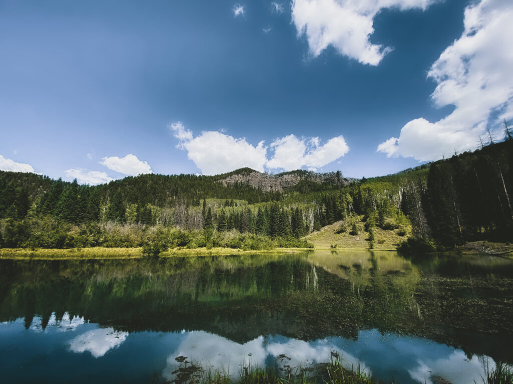 10 Best Hikes In Pagosa Springs: A Locals Guide 2022 | Living Tiny With ...