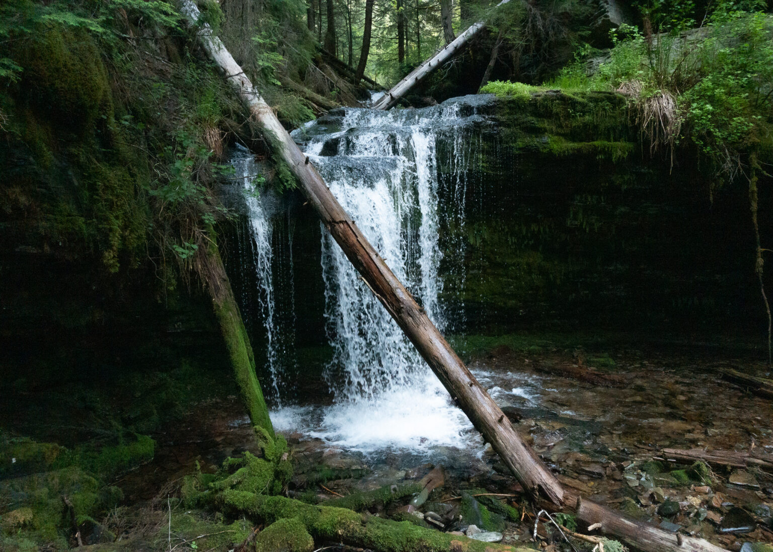 Hiking Guide To Fern & Shadow Falls In Idaho’s Panhandle | Living Tiny ...