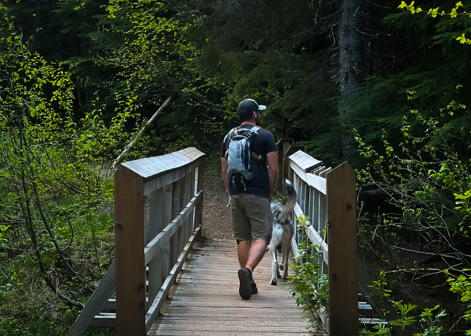 Hiking Guide To Fern & Shadow Falls In Idaho’s Panhandle | Living Tiny ...