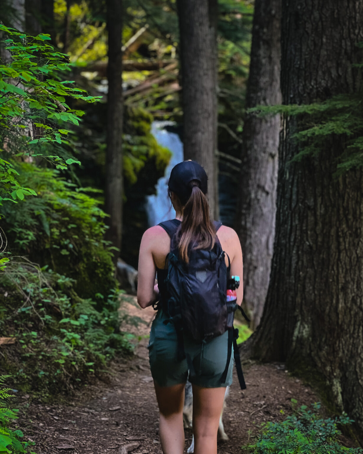 Hiking Guide To Fern & Shadow Falls In Idaho’s Panhandle | Living Tiny ...